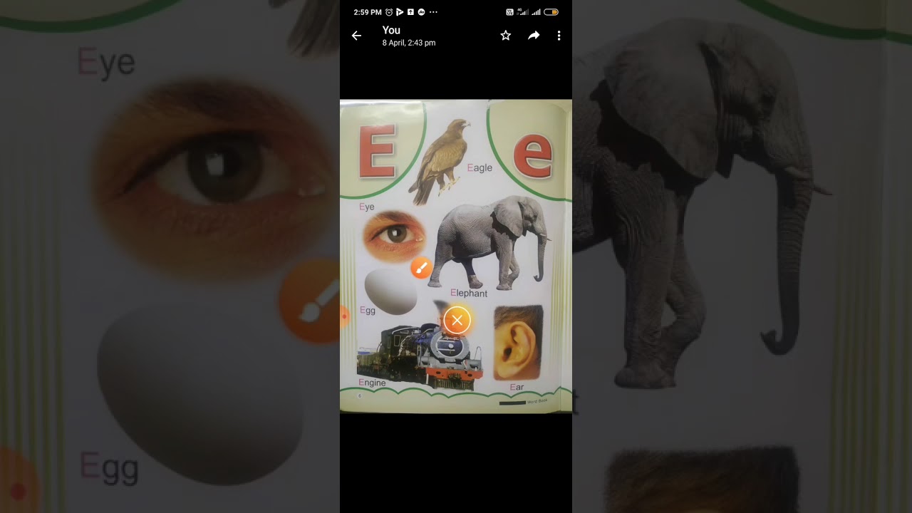 Class LKG || Book Reading || Eng || Video 6 - YouTube