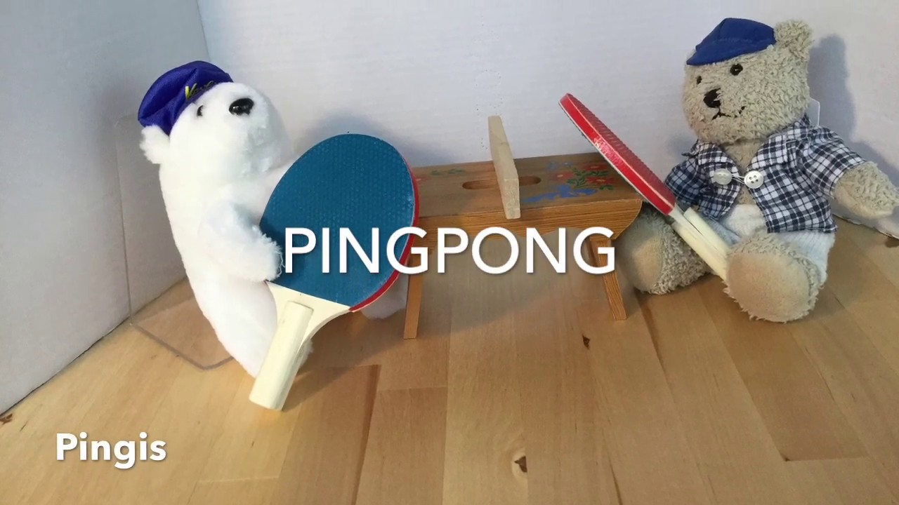 Animal Ping Pong - YouTube