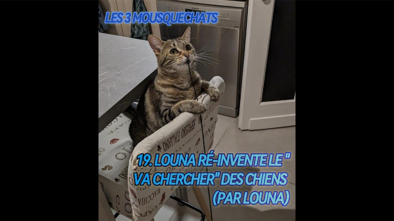 Episode 19 : Louna ré-invente le ''va chercher'' des chiens (par Louna ...