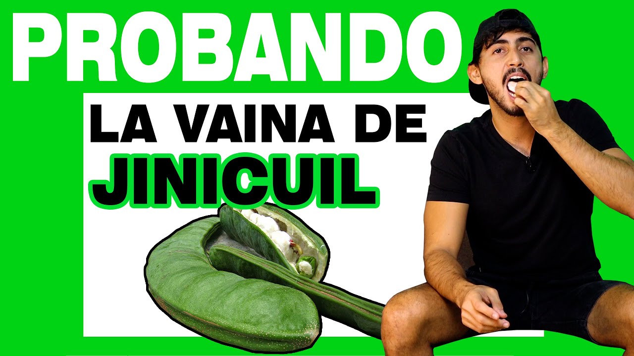 🌳 Probando las Semillas de la VAINA de JINICUIL!! - YouTube