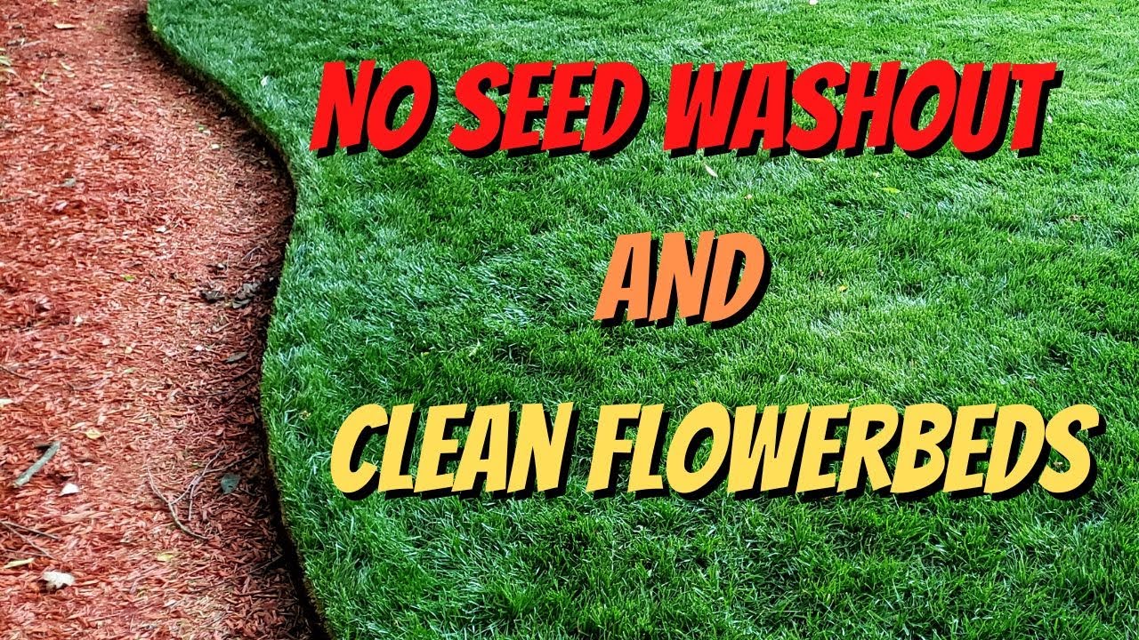 Prevent Seed Washout and Grass Seed In Flowerbeds During Overseeding ...