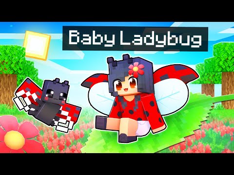 The Luckiest Baby LADYBUG In Minecraft!