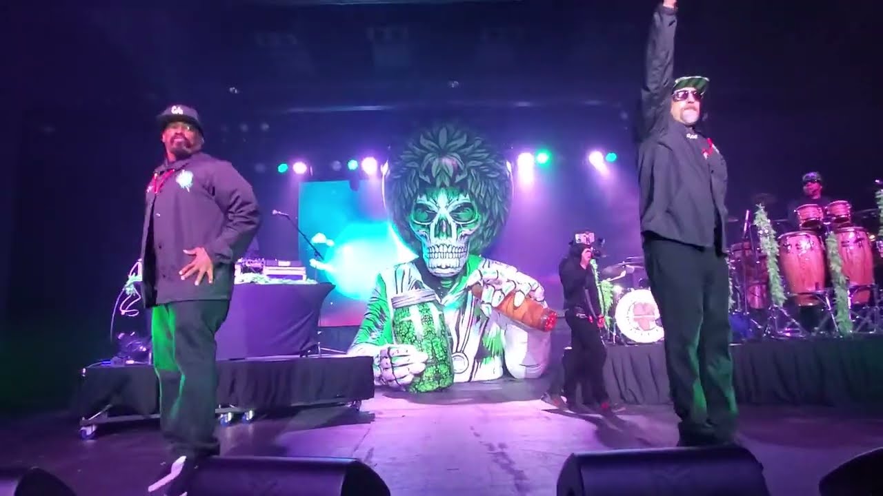 Cypress Hill at Charlestown Insane In The Membrane - YouTube