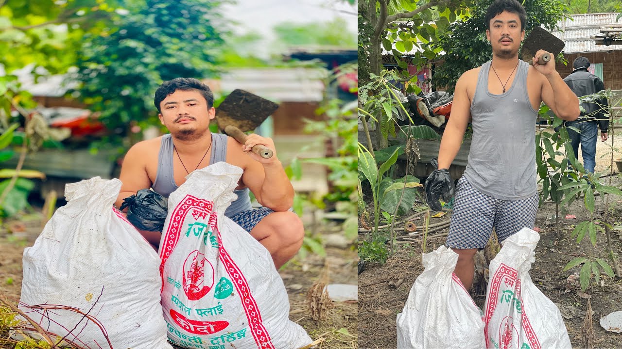 Gai ko gobar(mal) daro bokiyo😭😱|| Cricket maa haariyo😭😭|| #jangey # ...