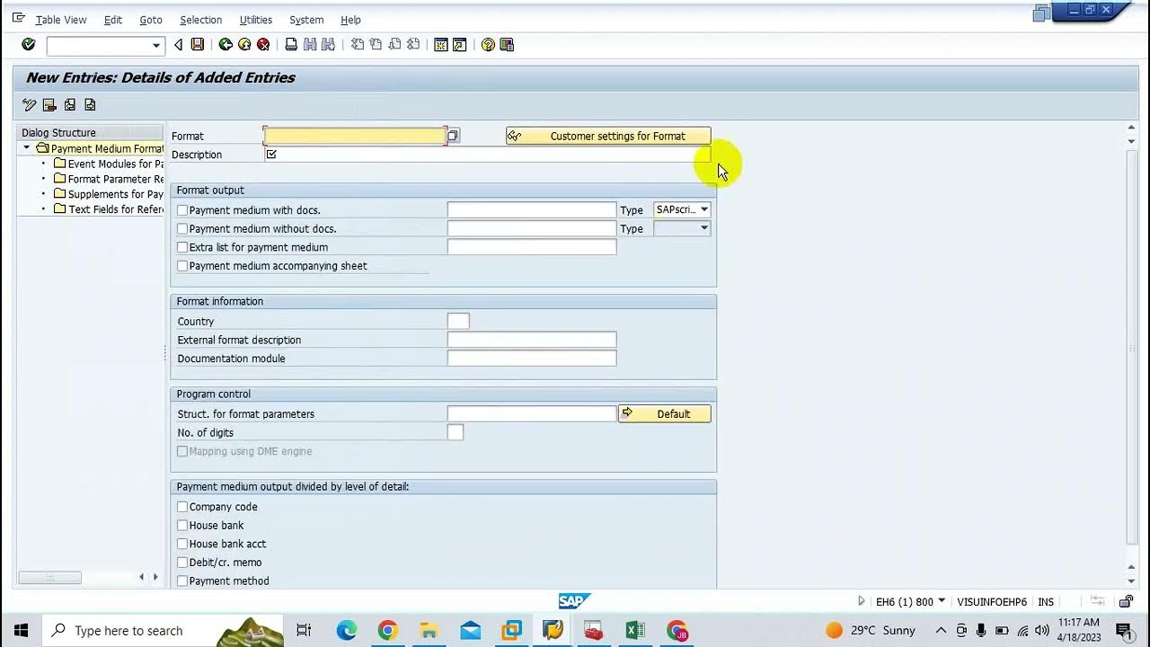 Batch 2 FBZP Automatic Payment Program Configuration 3 - YouTube