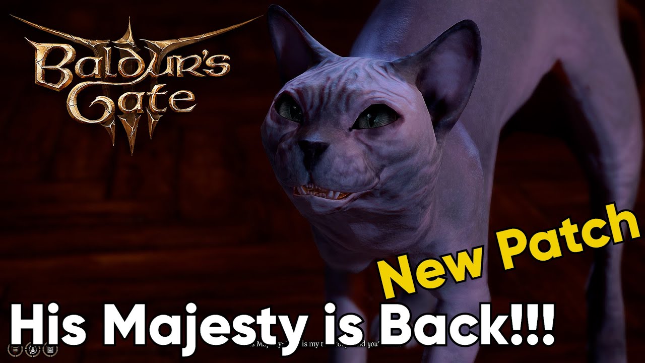 Baldur's Gate 3 When Devs are Listen to the Fans! His Majesty is Bald ...