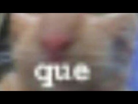 Some goofy ahh music that sounds like science ecosystem ass music while ...