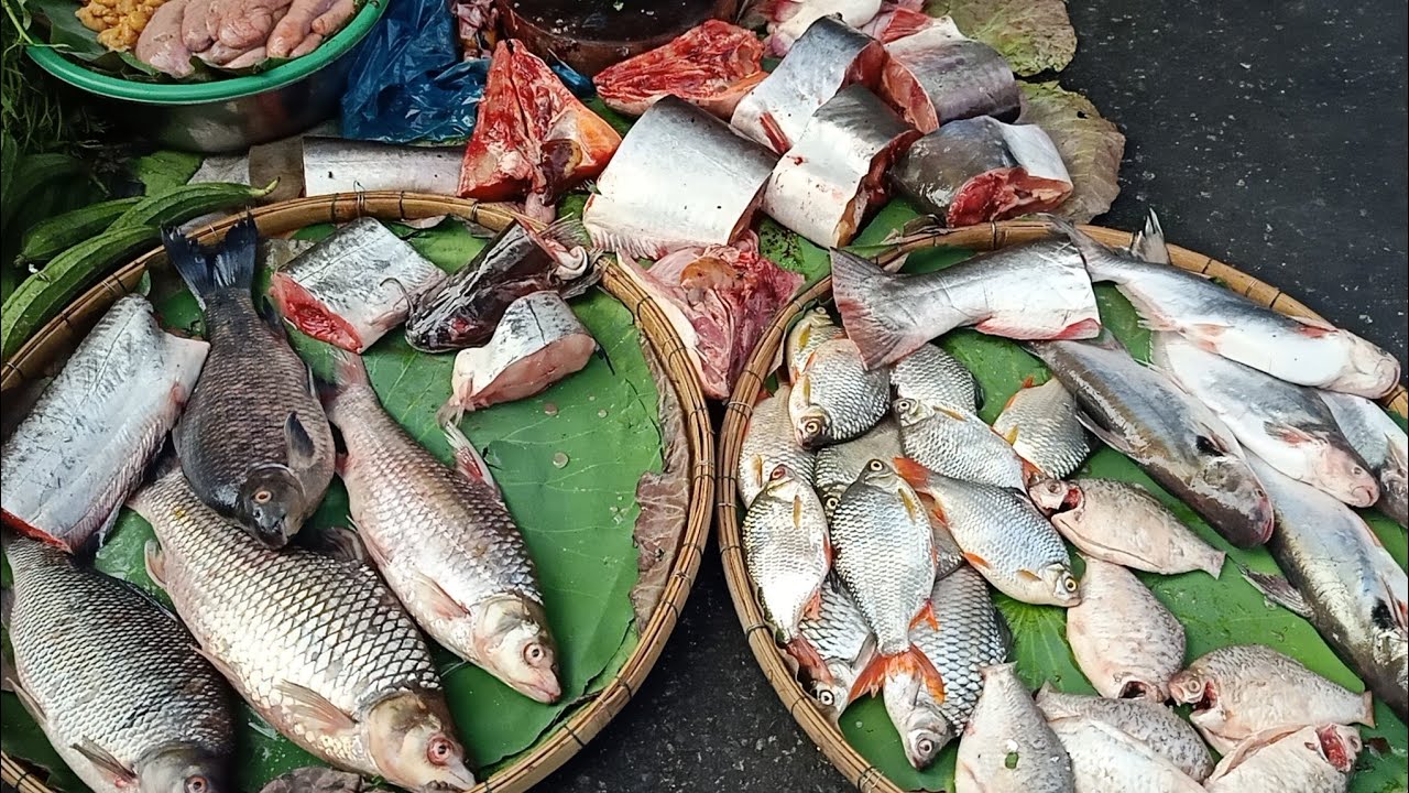 ត្រីទឹកសាបក្នុងប្រទេសកម្ពុជា ក្នុងផ្សារត្រី || Amazing Freshwater fish ...