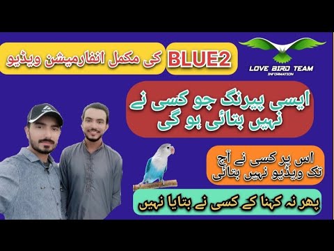 COMPLETE INFORMATION VIDEO ON BLUE2 BIRD - YouTube