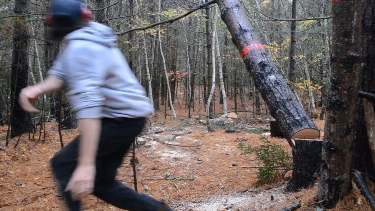 Using a Chainsaw To Fell And Cut Down A Tree - Tree Cutting Fails - YouTube