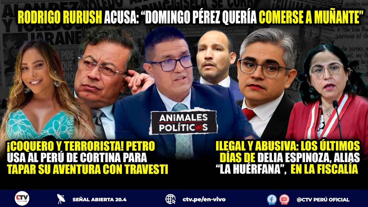 ANIMALES POLÍTICOS con Aaron Salomón #CTVPerú - YouTube