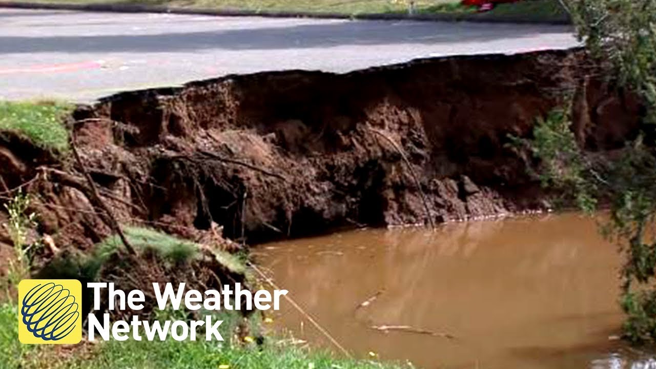 What started as a gopher hole is now a 40-foot wide sinkhole thanks to ...