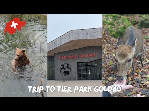 Tier Park Goldau | Nature and Animal Park | Switzerland 🇨🇭 - YouTube