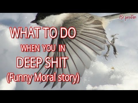 WHAT TO DO WHEN YOU IN DEEP SHIT | MUST WATCH | FUNNY - YouTube