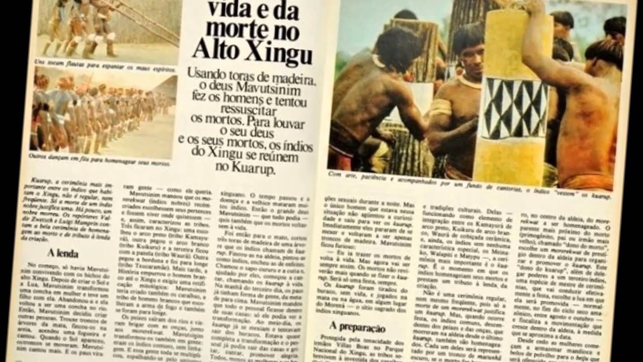 Estrutura textual da reportagem - YouTube