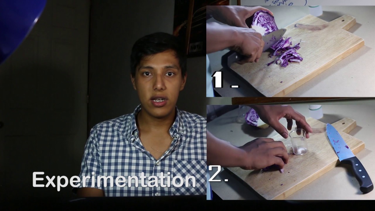 pH indicator from a purple cabbage - Science Fair - YouTube