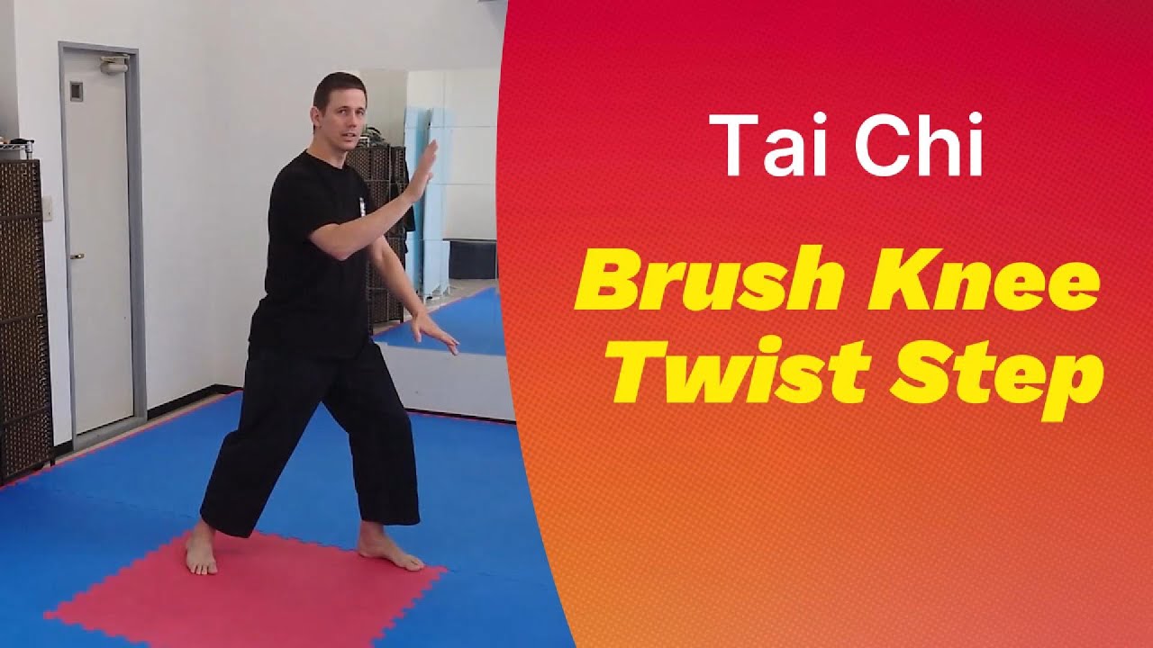 Tai Chi Yang 24 Brush Knee Twist Step - YouTube