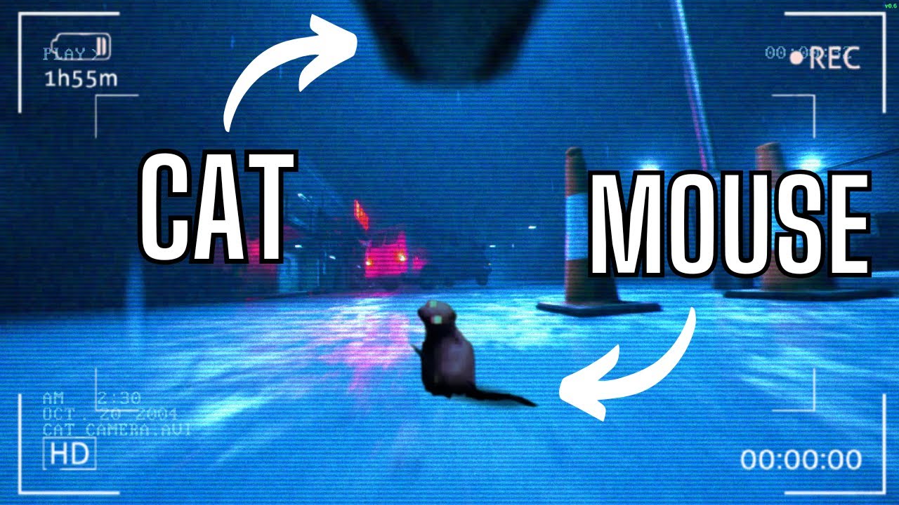 Tom and Jerry but It's a Body Cam Horror Game | Scratching Shadows ...