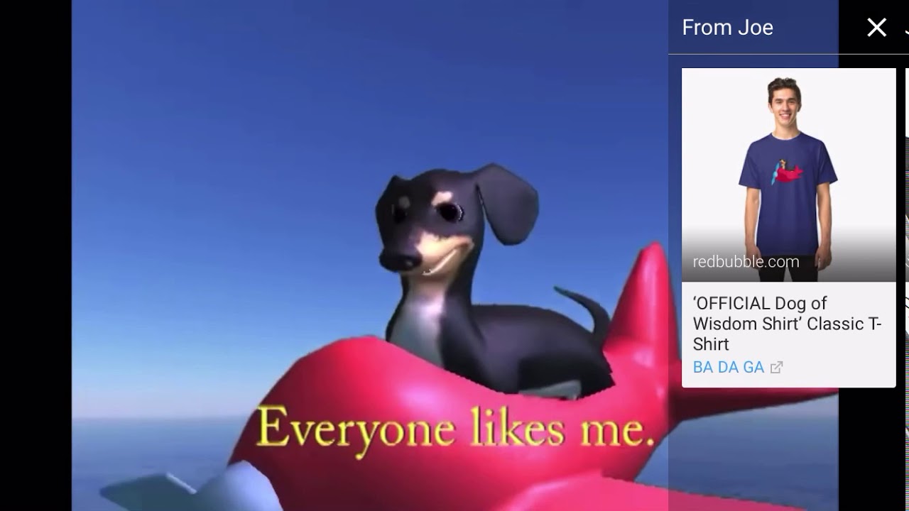 Dog of wisdom - YouTube