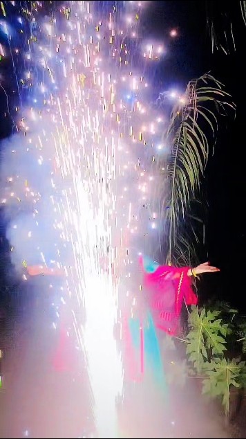 Happy new year special status video happy new year status new year ...