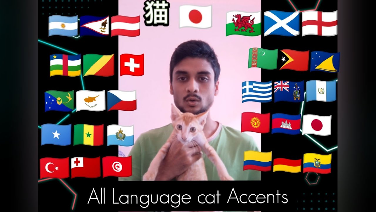 The Cat is all the language and Accents of the World 🌏🌎🌍........ Funny ...