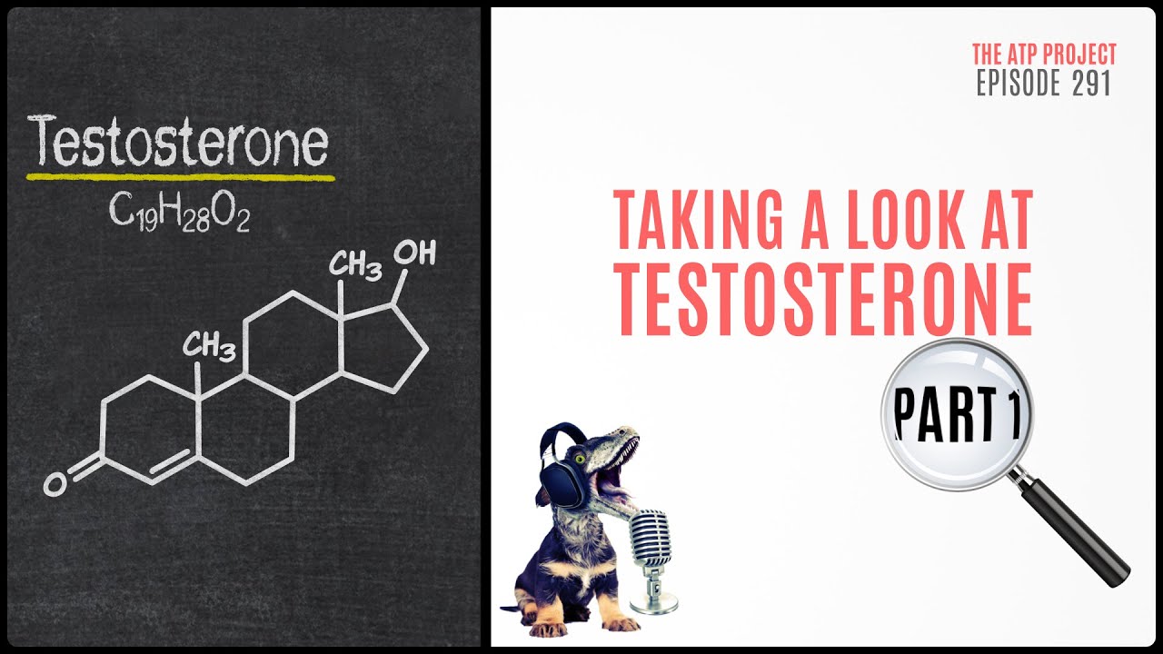 The ATP Project 291 | Taking a Look at Testosterone | Part 1 - YouTube