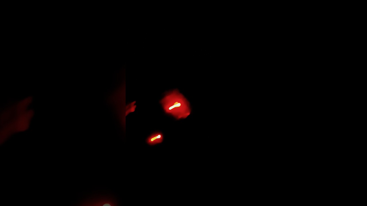 My lambargine - YouTube