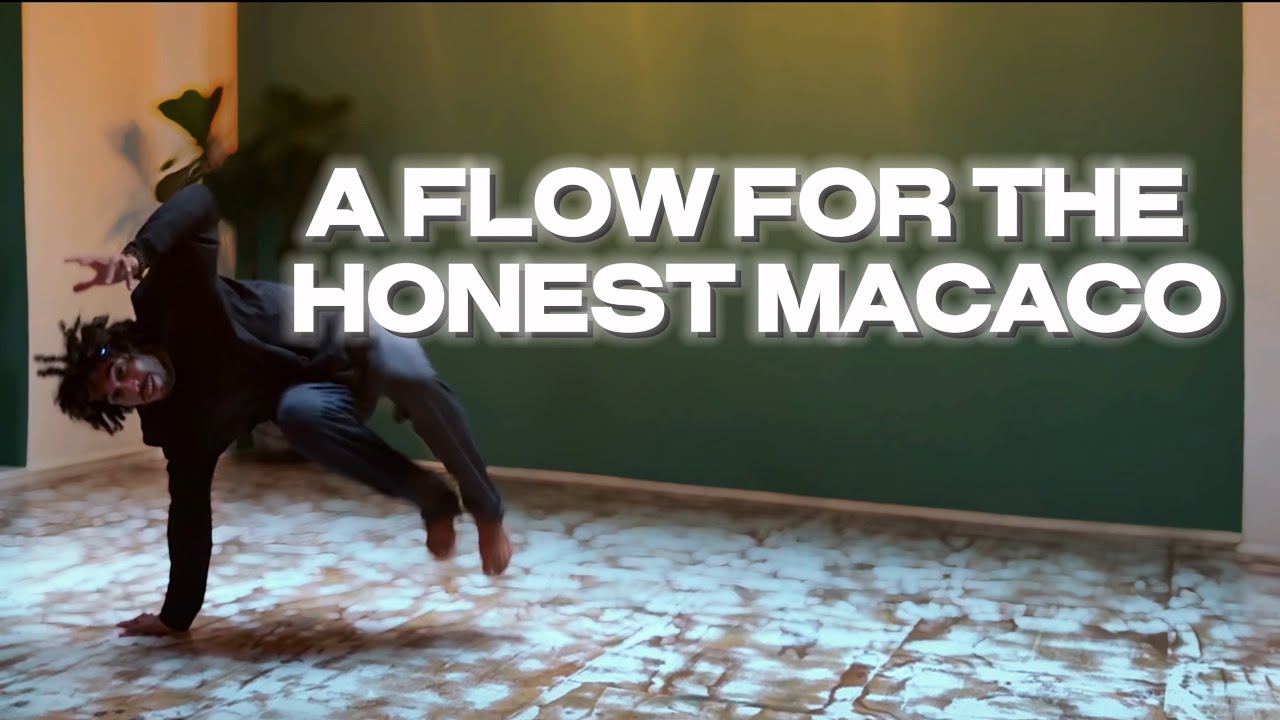 A FLOW FOR THE HONEST MACACO - YouTube