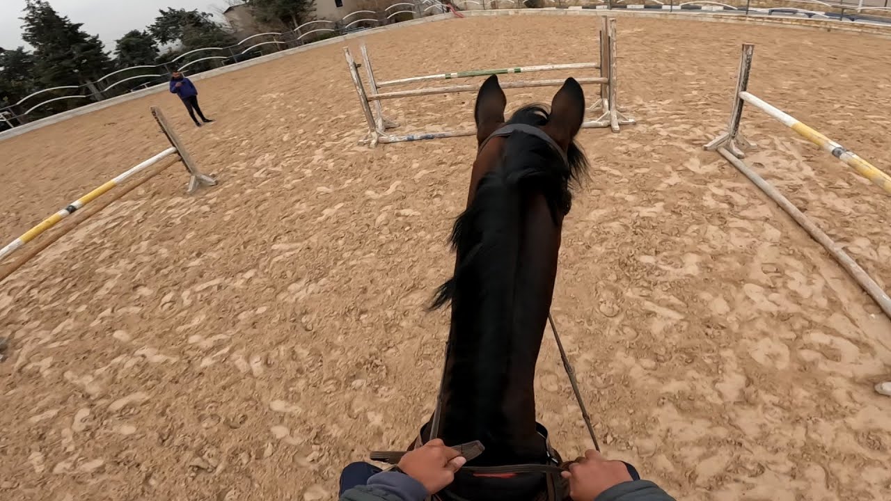 Epic Horse Jumping POV (GoPro Training) + Lucifer’s First Competition ...