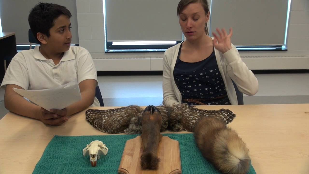 Le métier de biologiste - YouTube