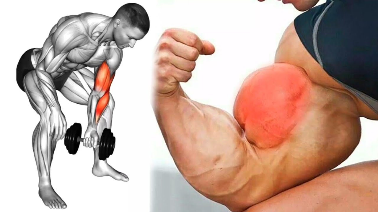 Massive Biceps workout with dumbbells Only - Big Arm workout - Biceps ...