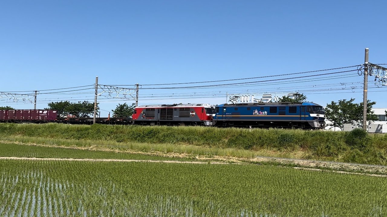 静岡貨物駅で展示のために無動力回送されるDF200-207「ウルド号」と富士行きレール積載チキ車を繋いだ2078レ - YouTube