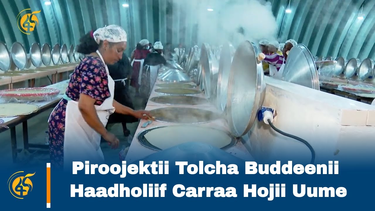 Piroojektii Tolcha Buddeenii Haadholiif Carraa Hojii Uume - YouTube