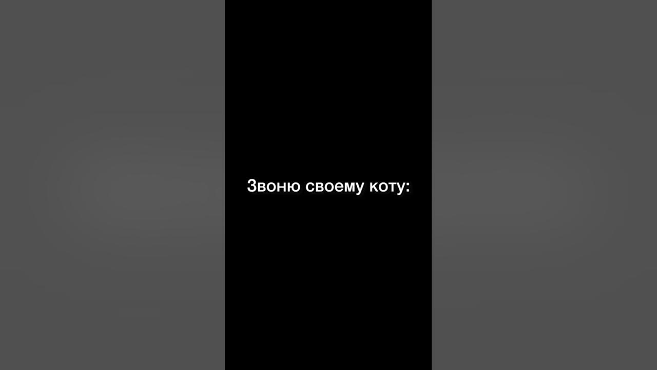 Звонок коту #shorts #cat #юмор #приколы - YouTube