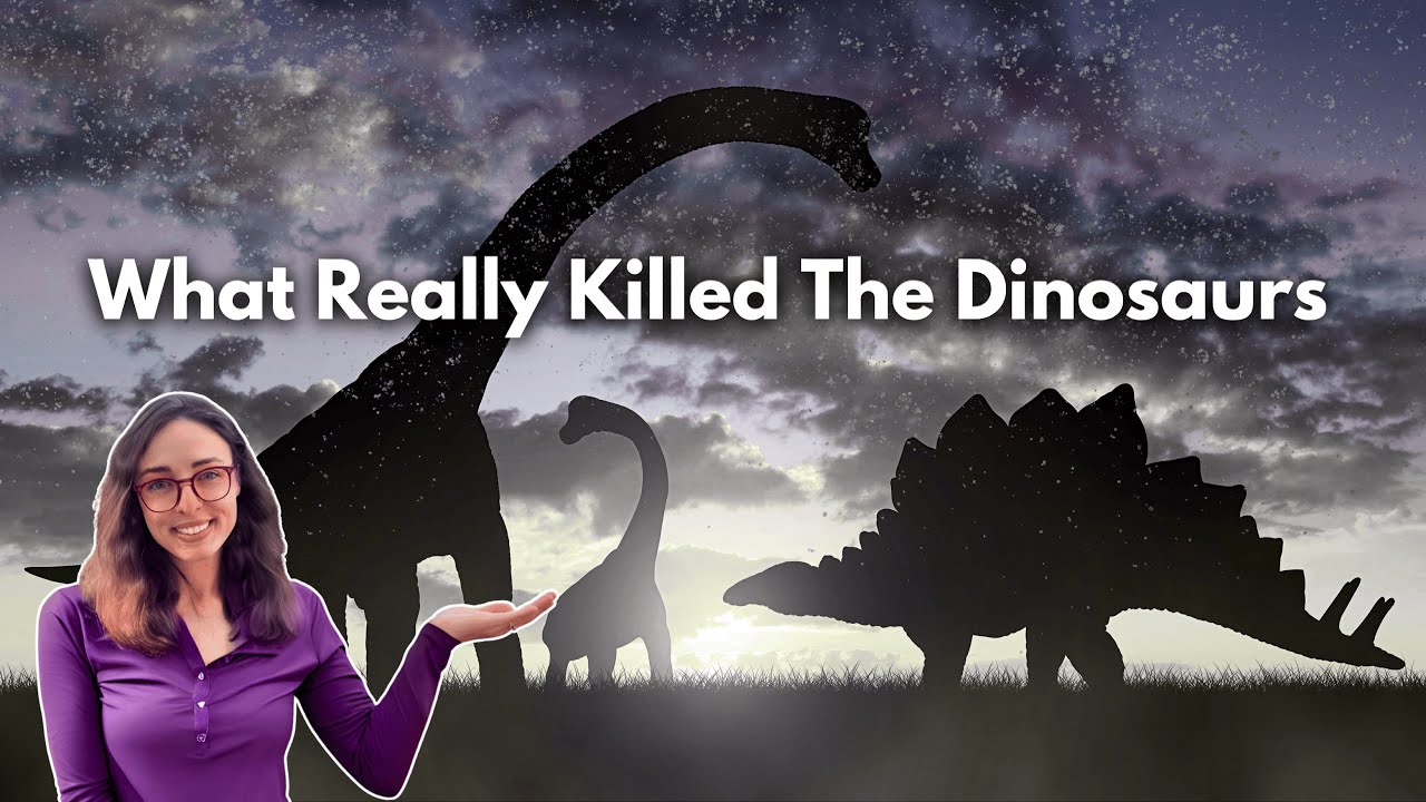 New Research Findings Rewrite the KPg Extinction Event! - YouTube