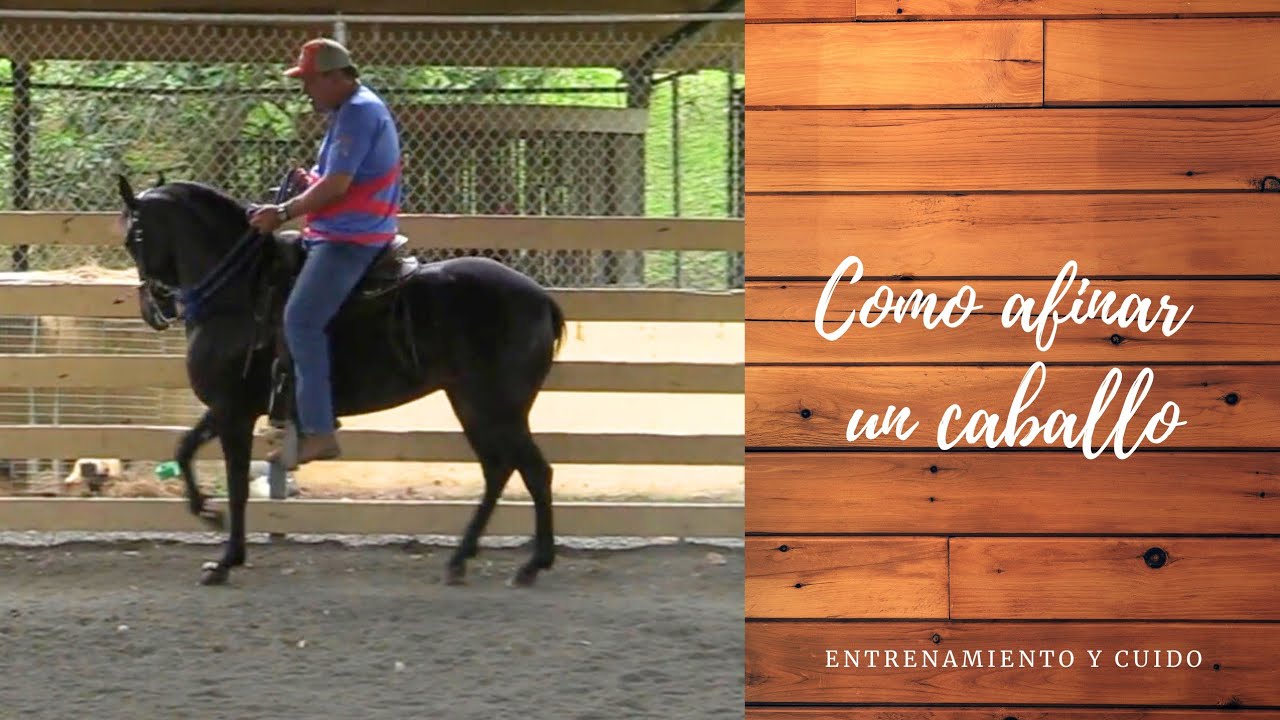 AFINAR UN CABALLO (hay un poco de ruido con el micrófono en algunos ...