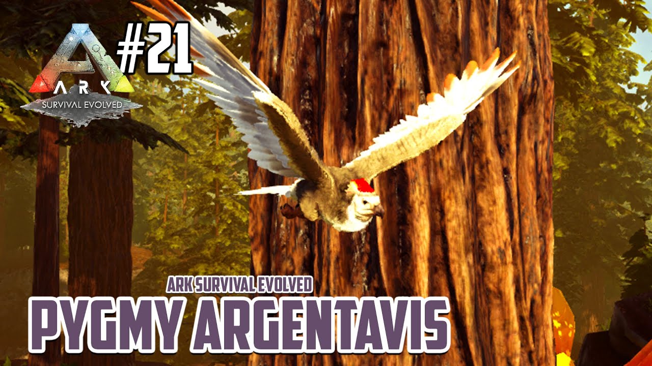 BERBURU PYGMY ARGENTAVIS + UPGRADE KE APEX - Ark DOX #21 - YouTube