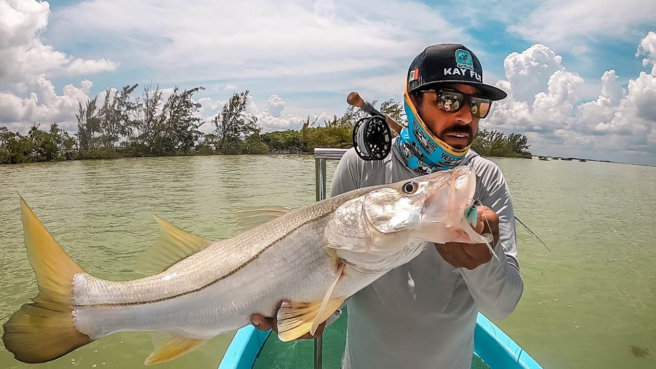 PESCA de ROBALOS en menos de 1 metro de agua / Explorando las ZONAS mas ...