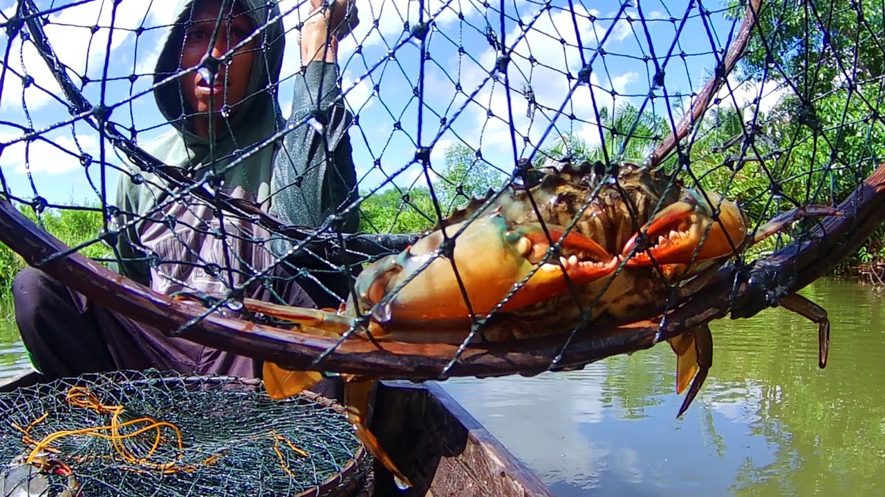 Day 68 | Crab hunting | Hunting on a boat, many crabs get caught in ...