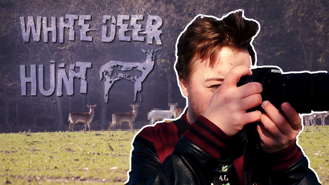 White Deer Hunt | Short Film - YouTube