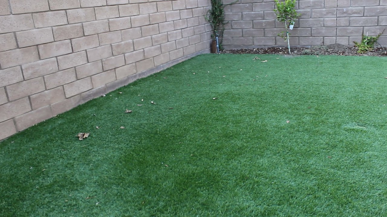 Artificial Grass Failure - No Infill Sand - YouTube