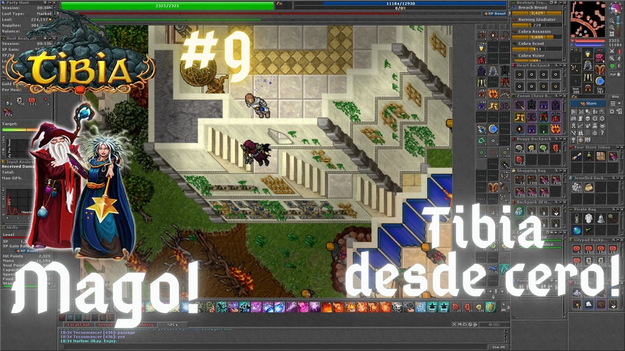 Tibia Desde Cero #9 Ultimo capitulo, Mil y un Wyverns . . . - YouTube