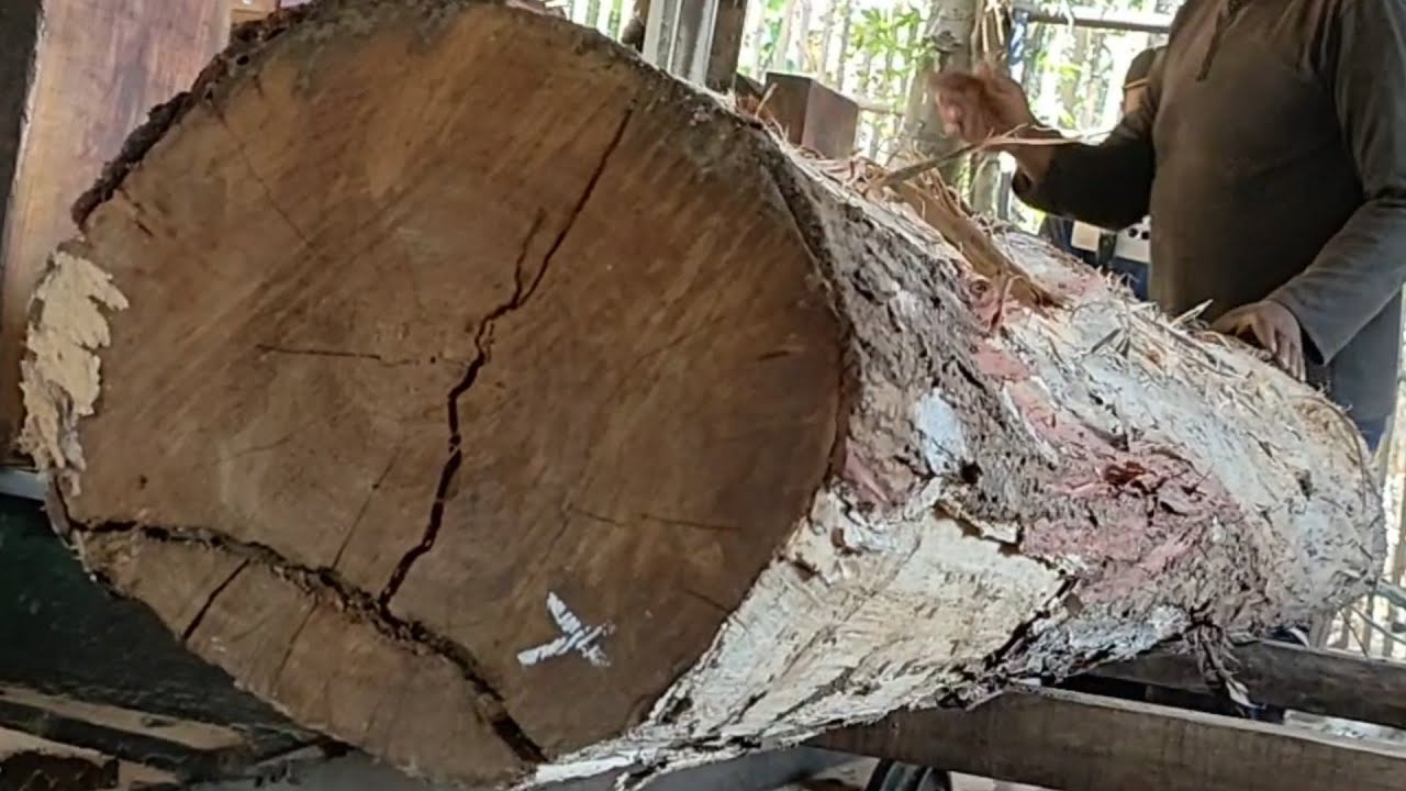 Kayu Taek luar biasa keras di gergaji sawmill bikin balok - YouTube