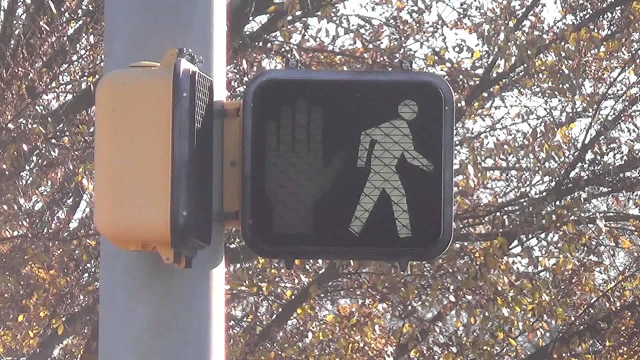 Neon ICC Pedestrian Signal - YouTube