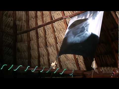 Image of Captain Dave Baker at Bad Boys Bar, Saturday 23 Jan 2010 - YouTube