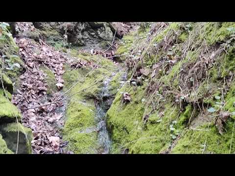 Doğa sesleri su sesi şelale