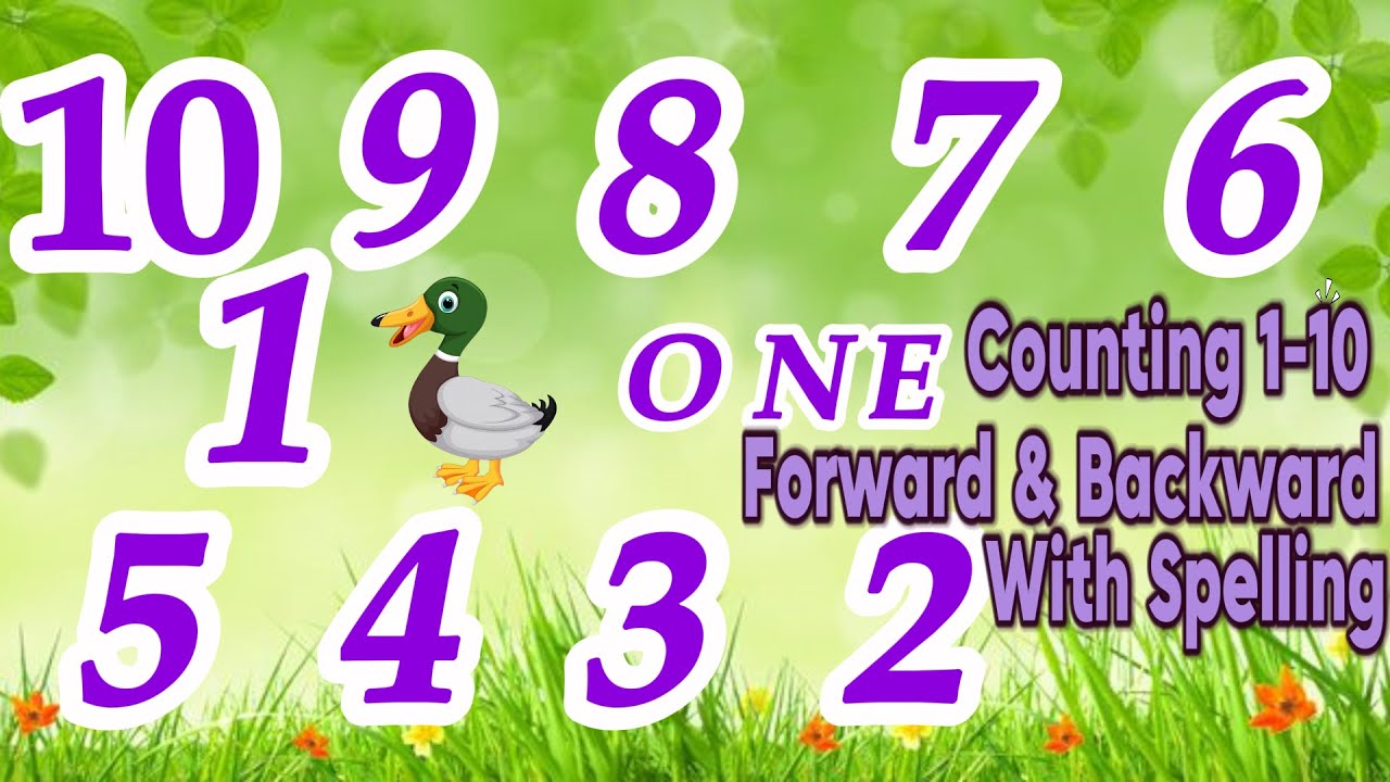Counting 1 to 10 || Backward Counting 10 to 1 || Spelling Numbers 1-10 ...