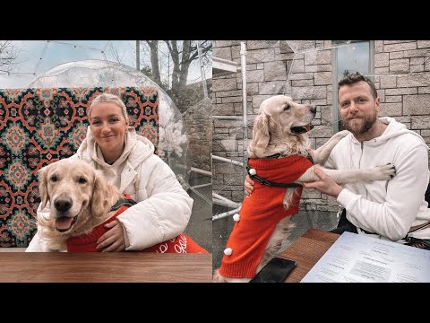 my 23rd birthday + react to old clips of myself | VLOGMAS 6 | VLOGMAS 2022 - YouTube