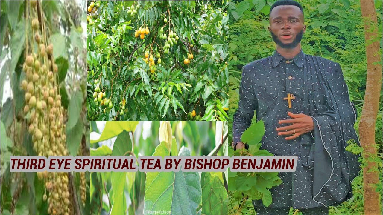 THIRD EYE TEA BY BISHOP BENJAMIN - YouTube