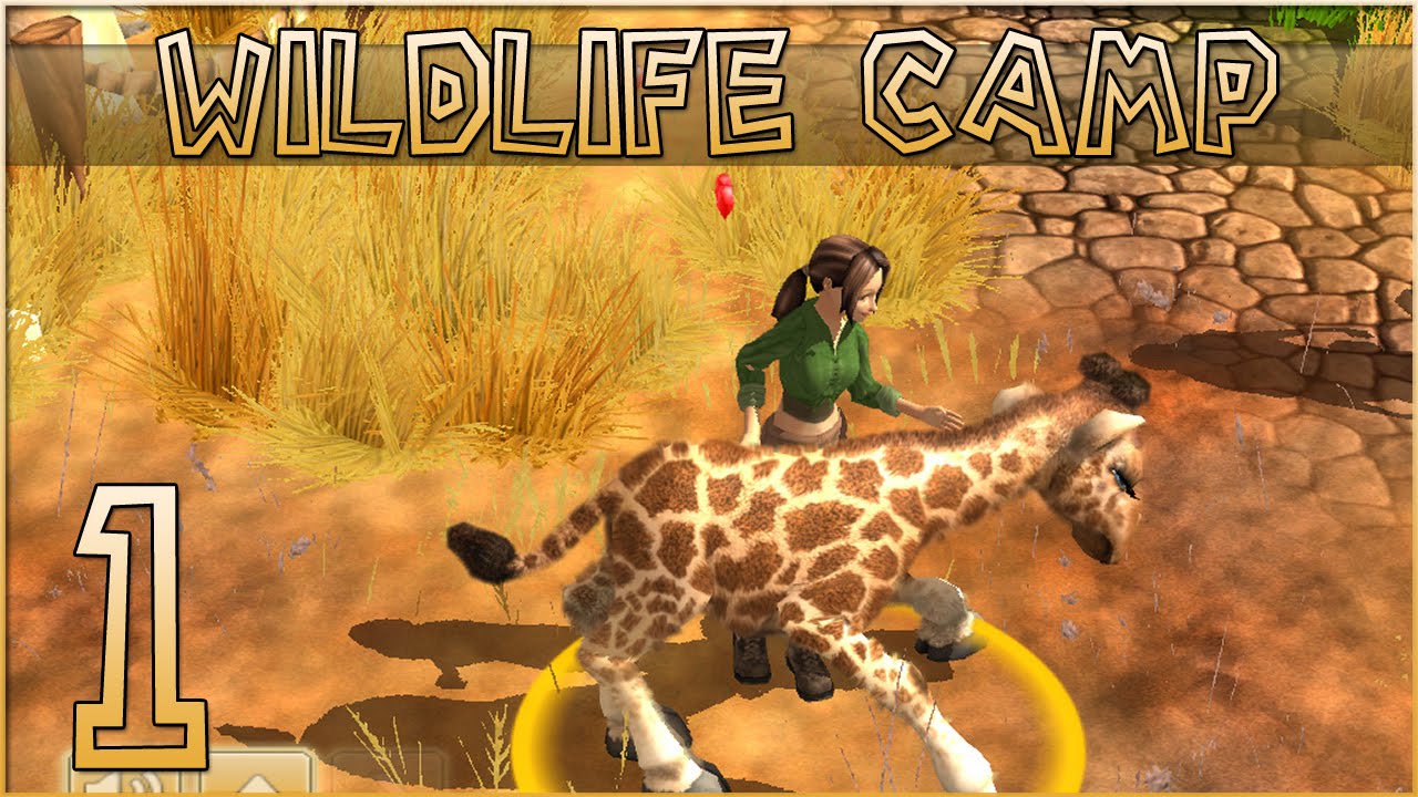 Into the Wildlife Rescue & Sick Baby Giraffe?! • Wildlife Camp ...